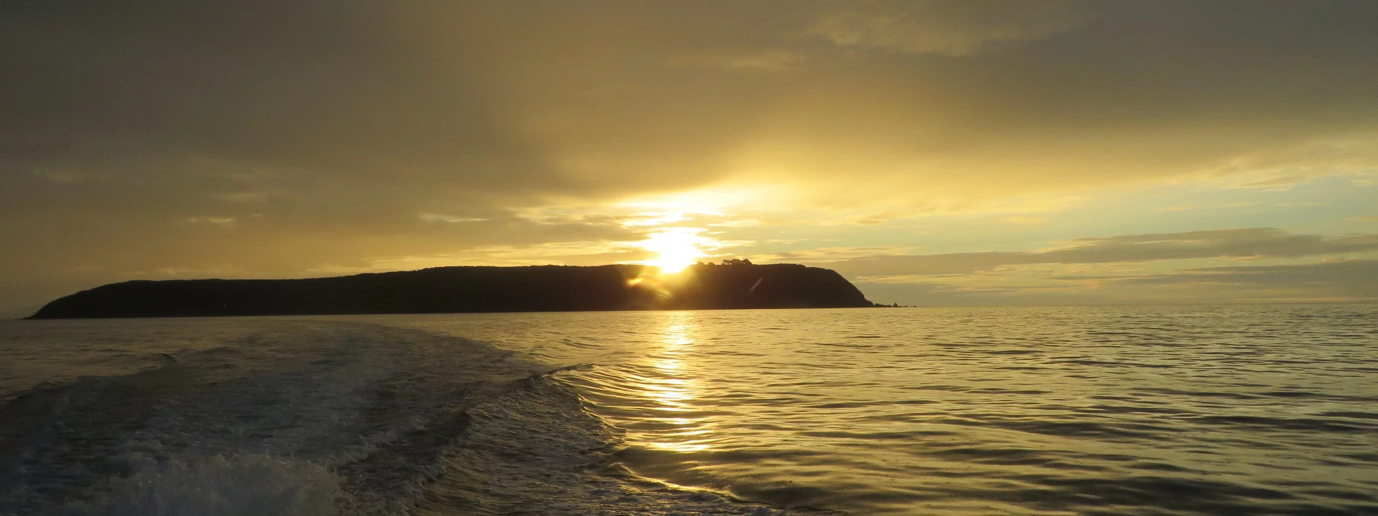 Guided day trips to Mana Island | History, scenery, birds