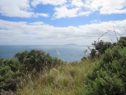 Guided day trips to Mana Island | History, scenery, birds
